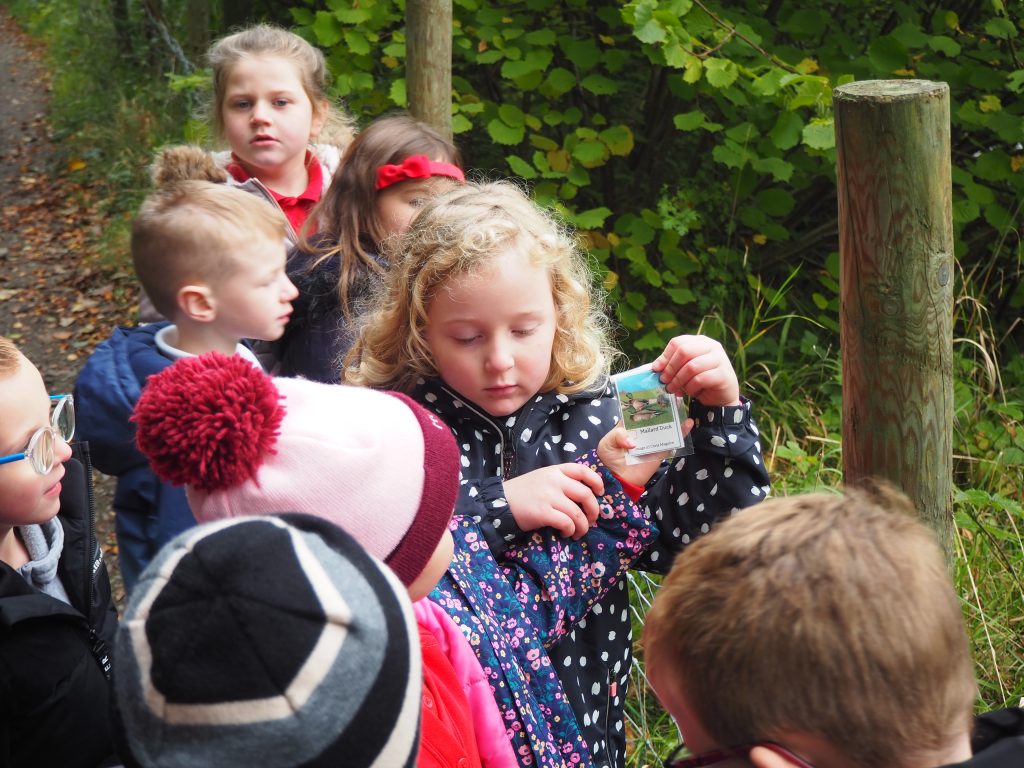 Year 1 - Cockton Hill Infant School