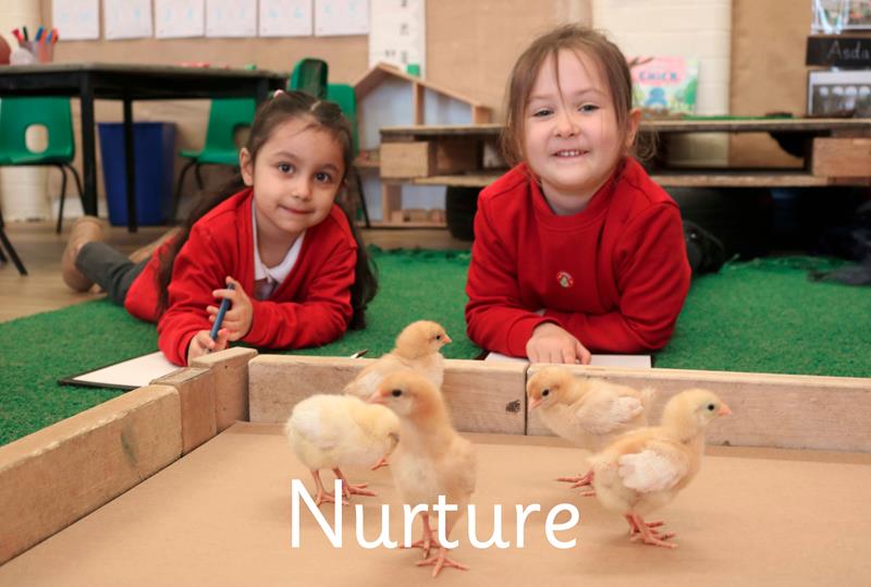 Our Vision and Values - Cockton Hill Infant School